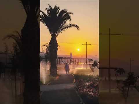 Ya Beni de Götür Ya Sen de Gitme..
