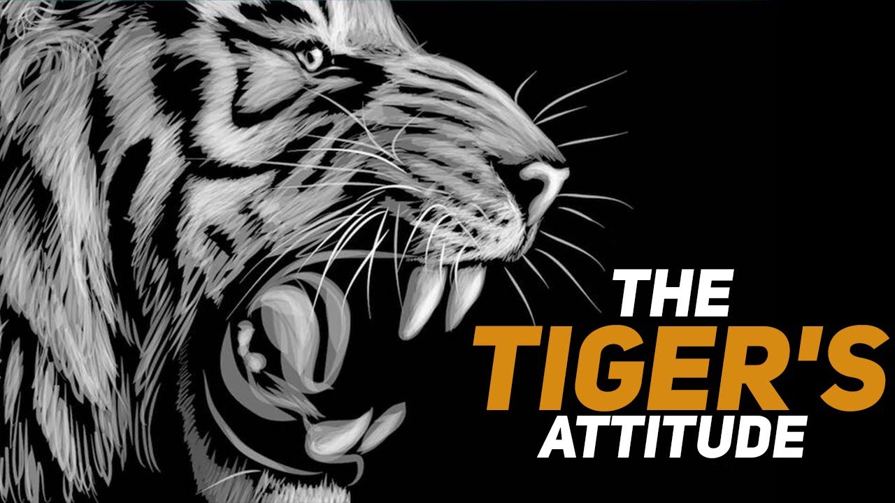 The Power Of Tiger Attitude - II | Tiger motivation speech | Best ...