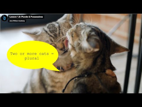 Cats Teach Us How to Write: Plurals & Possessives - YouTube