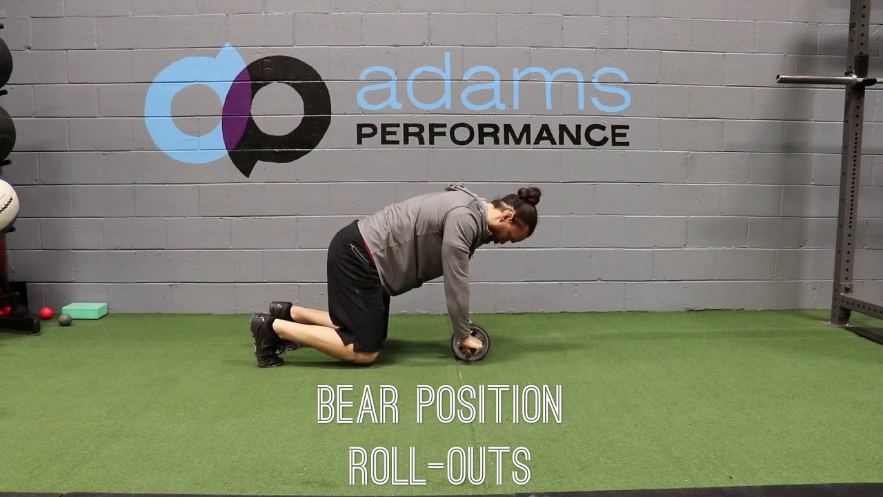 Bear Position Roll-Outs - YouTube