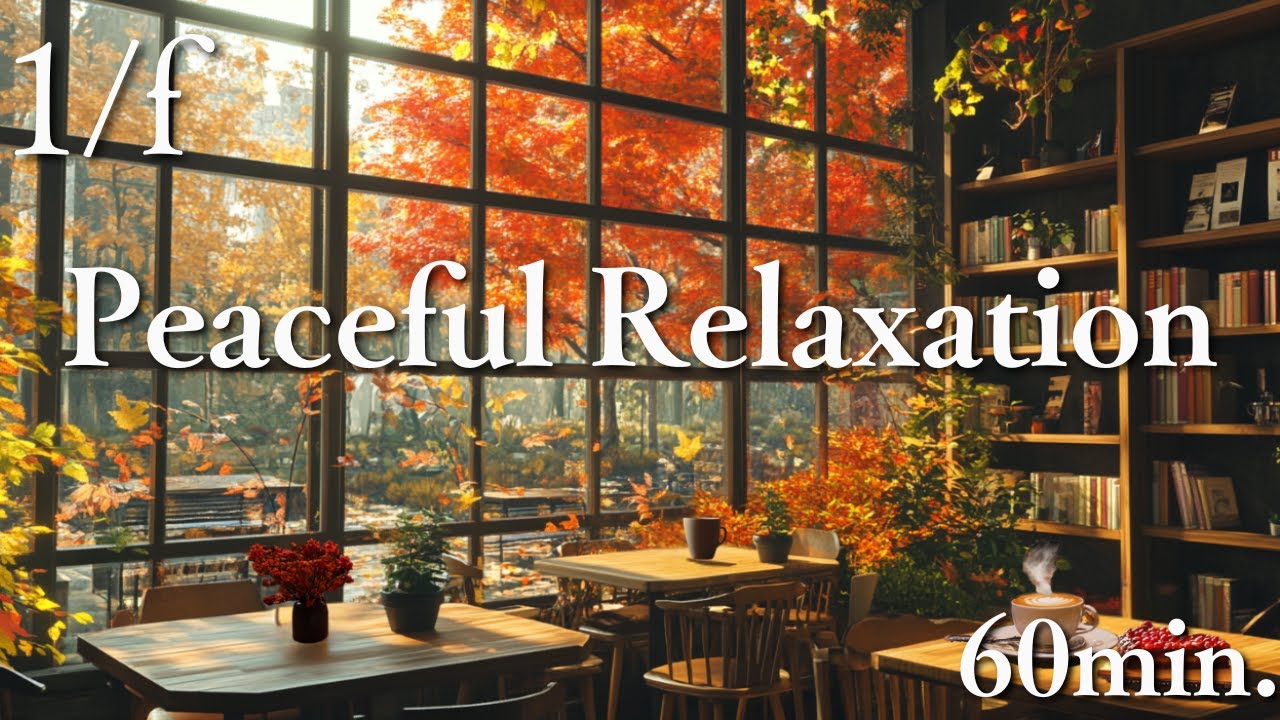 Relaxing Café BGM with Sunlight Filtering Through the Trees - YouTube
