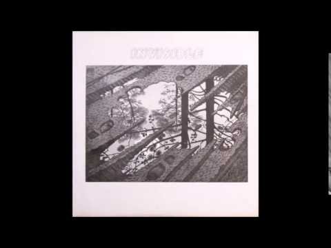 Irregular - Invisible - Spinetta - YouTube