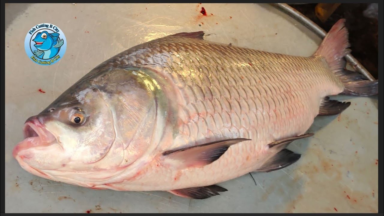 Amazing Fish Cutting Skill l Giant Katla Carp Cutting By Fish Cutting Master In Bangladesh - YouTube