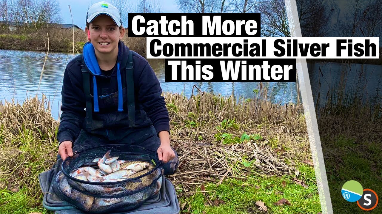Catch More Commercial Silver fish This Winter - YouTube