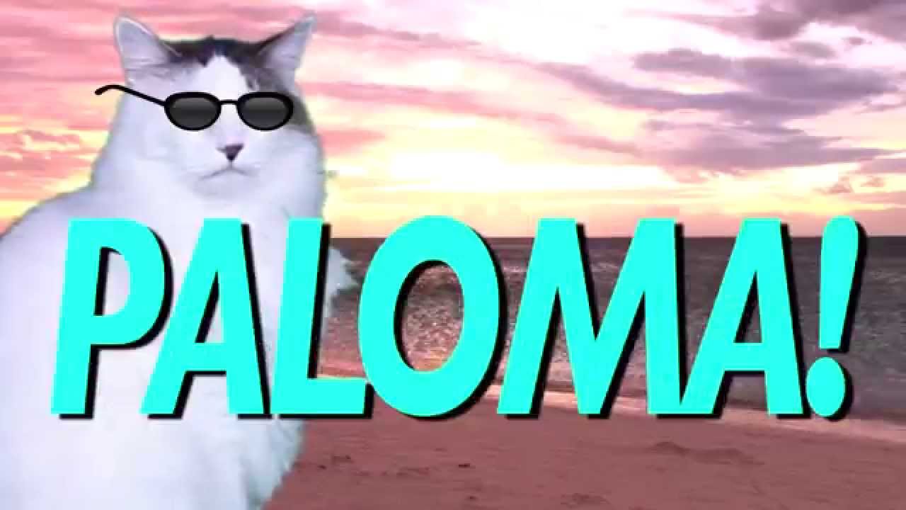 HAPPY BIRTHDAY PALOMA! - EPIC CAT Happy Birthday Song - YouTube