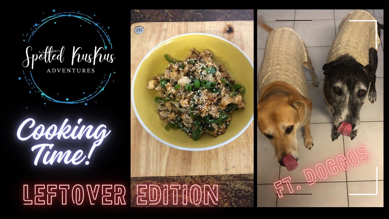 COOKING WITH SPOTTY - Leftover Edition ft. Doggos - Teriyaki Fish ...