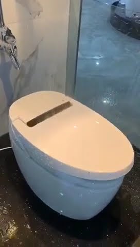 RIGEL smart toilet waterproof test video - YouTube
