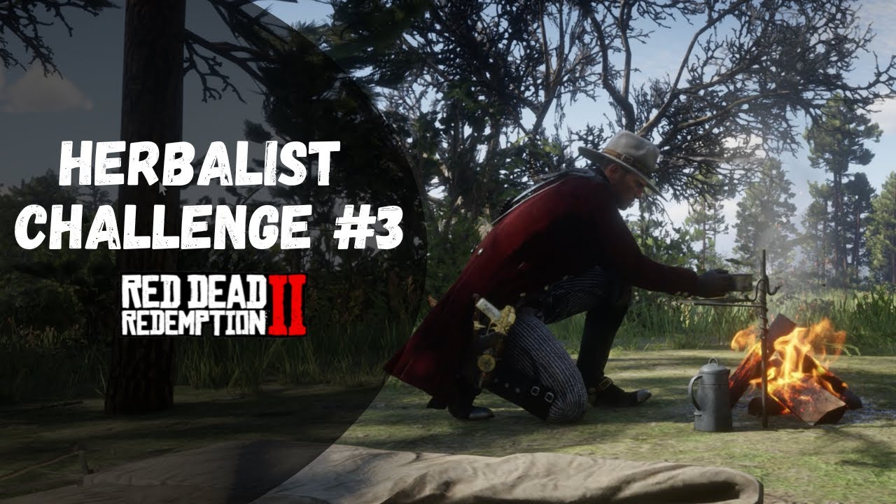 Herbalist Challenge #3 Guide - Red Dead Redemption 2 - YouTube