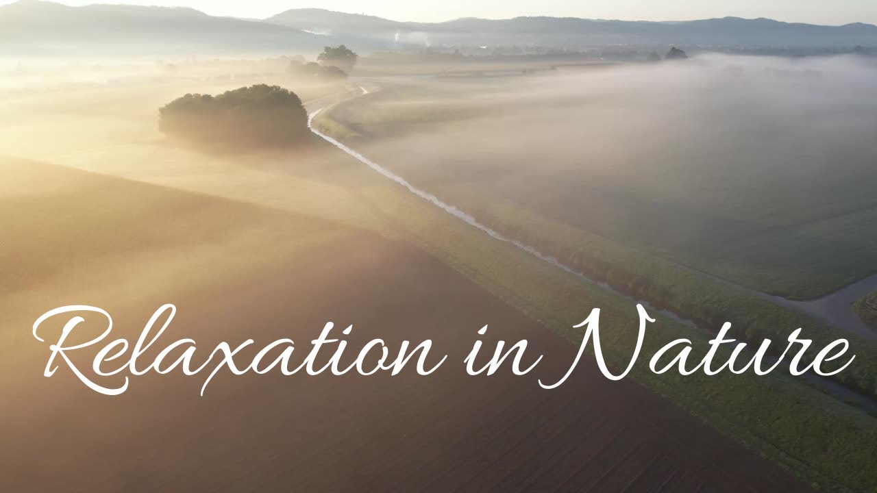 Relaxing in Nature Music, Stress Relief, Music For Mind, Soul, Body ...