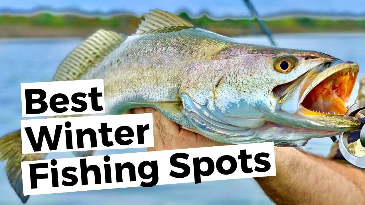 Top 3 Types Of Spots For Fishing In Winter - YouTube