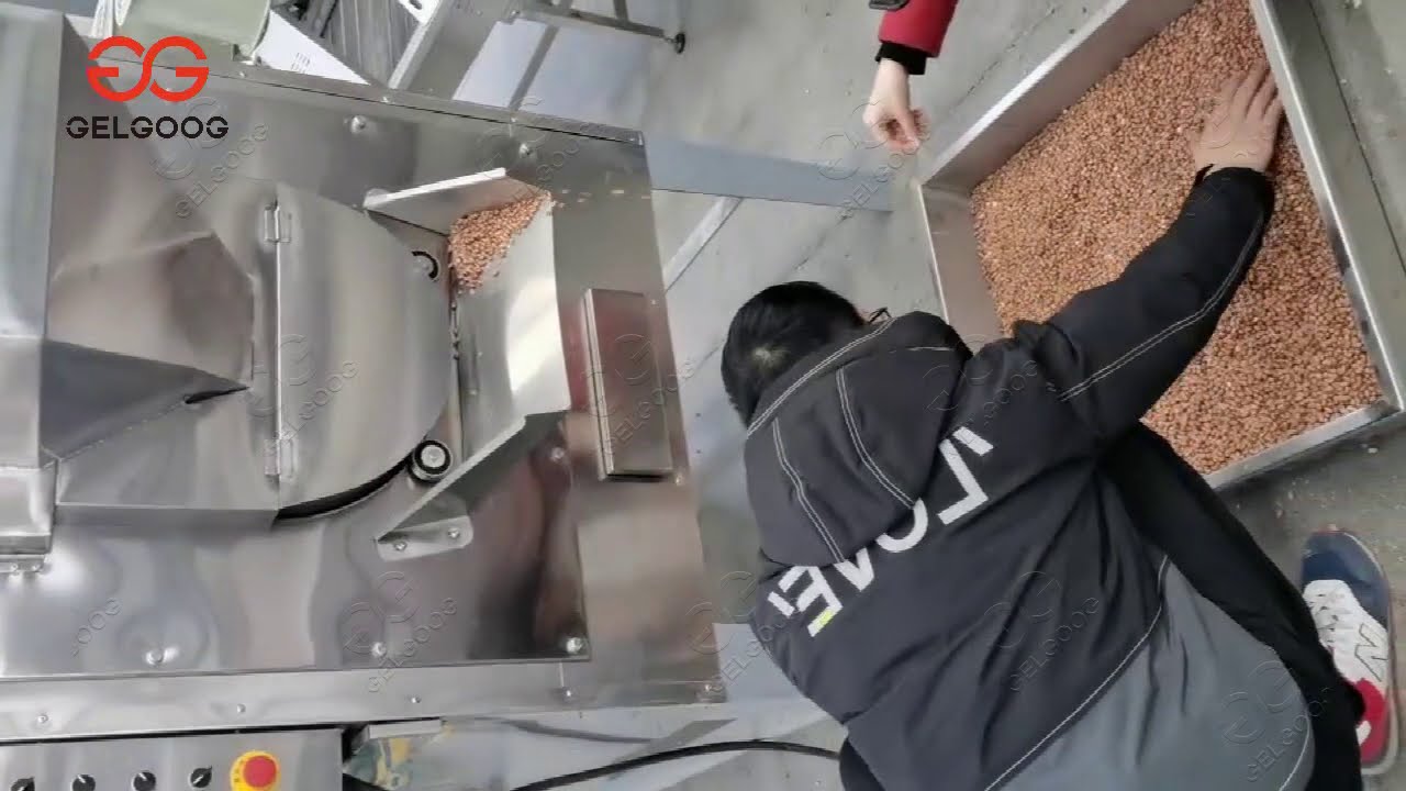 Commercial Peanut Roaster Price|Electric Peanut Roasting Machine - YouTube