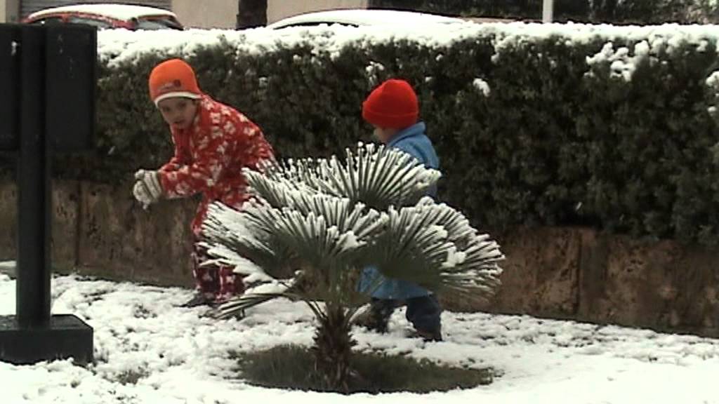 nieve en palma de mallorca - YouTube