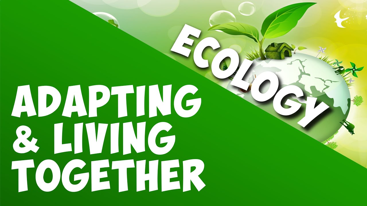 Adapting & Living Together | Ecology & Environment | Biology ...