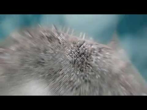 Earth Zoom Video Copilot test - YouTube