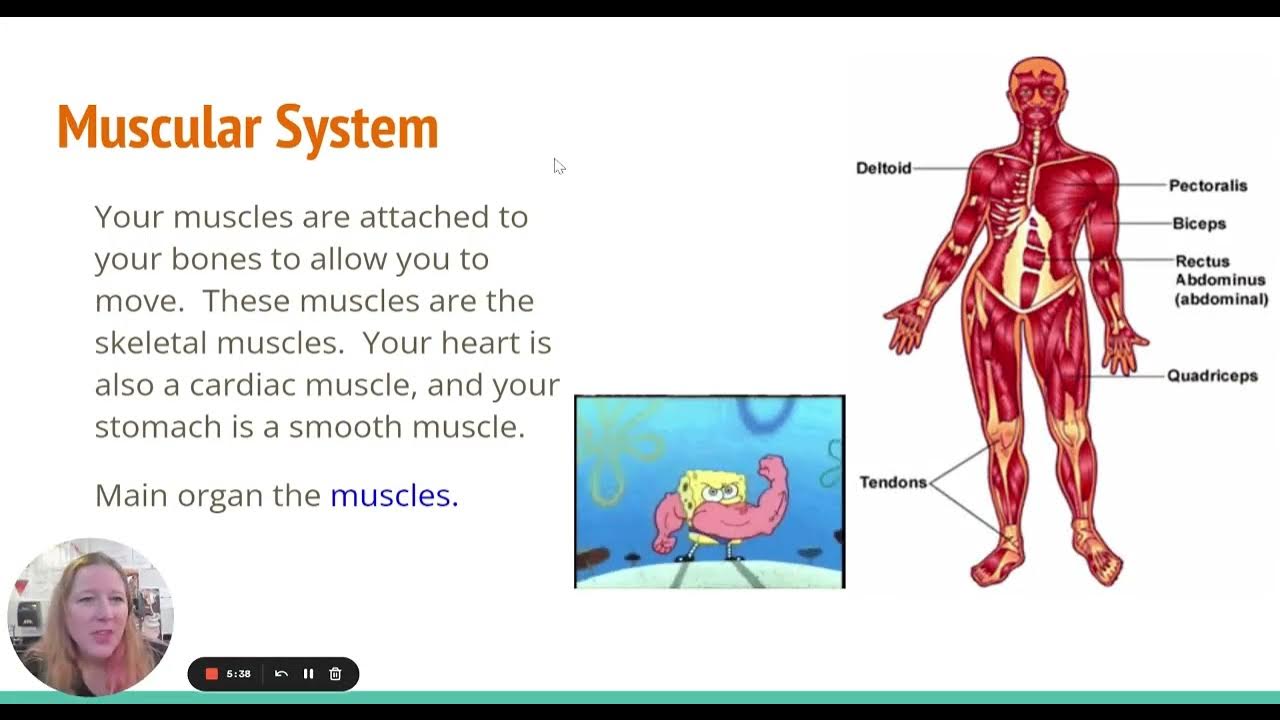 Edpuzzle Human Body YouTube edpuzzle-human-body-youtube