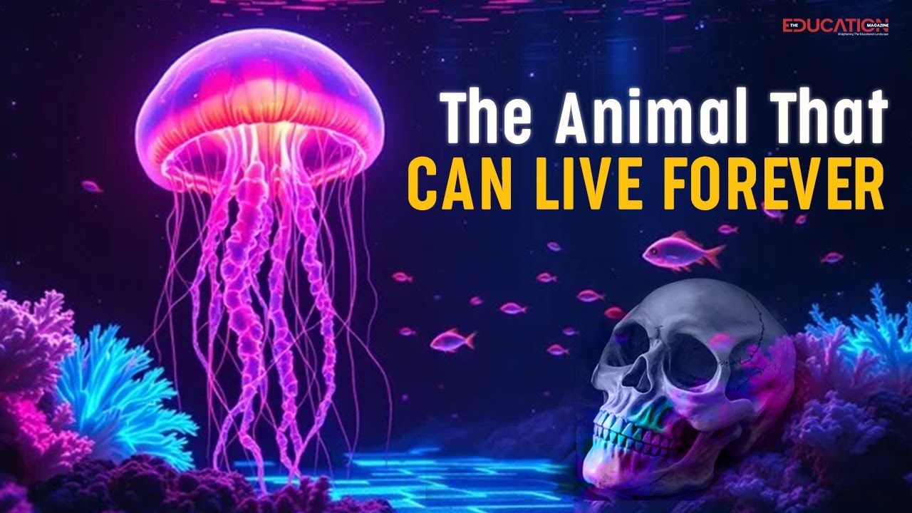 The Animal That Can Live Forever | The Education Magazine - YouTube
