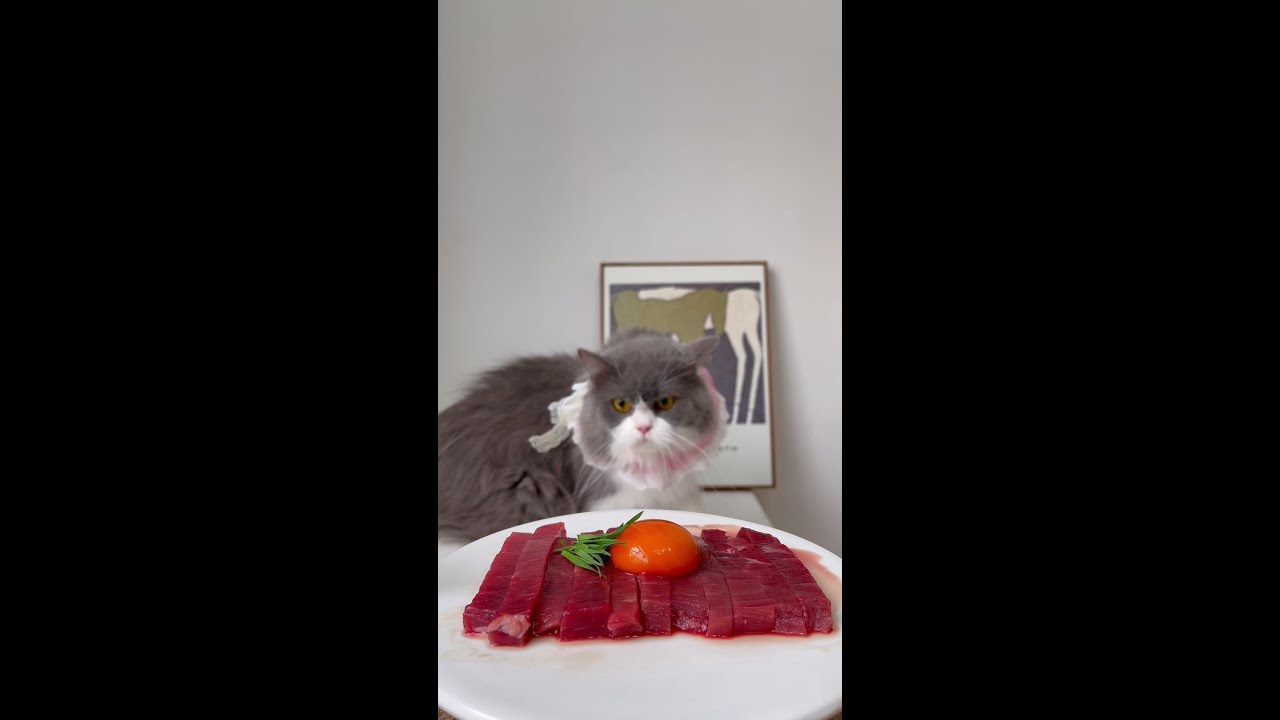 Dinner is served# dry rice cat# food cat# hurry up and give it to cat ...