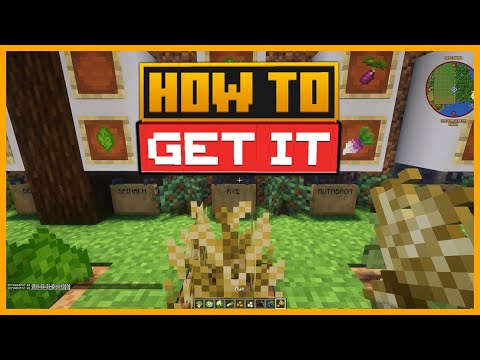 🟨 HOW to GET RYE in the PAM’S HARVESTCRAFT 2 MOD in MINECRAFT - YouTube
