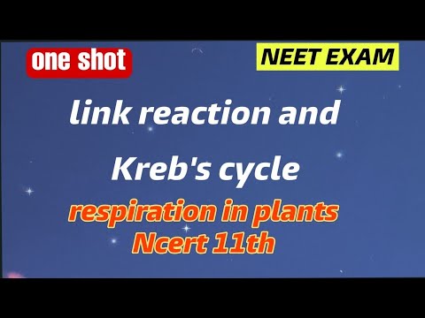 👍Quick review of link reaction and Kreb's cycle/ncert 11th/ respiration ...