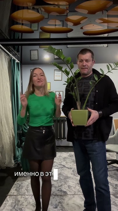 Трансформационная игра территория денег или денежный магнат Минск # ...