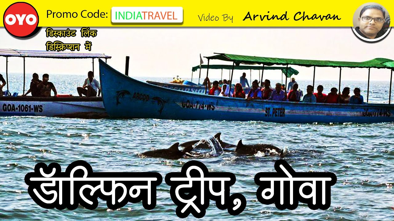 डॉल्फिन ट्रिप , गोवा | GOA DOLPHIN TRIP | Arvind Chavan ...