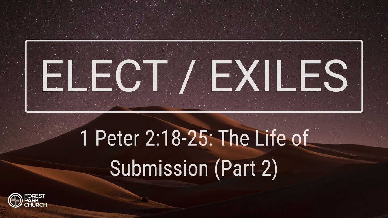 1 Peter 2:18-25: The Life of Submission (Part 2) - YouTube