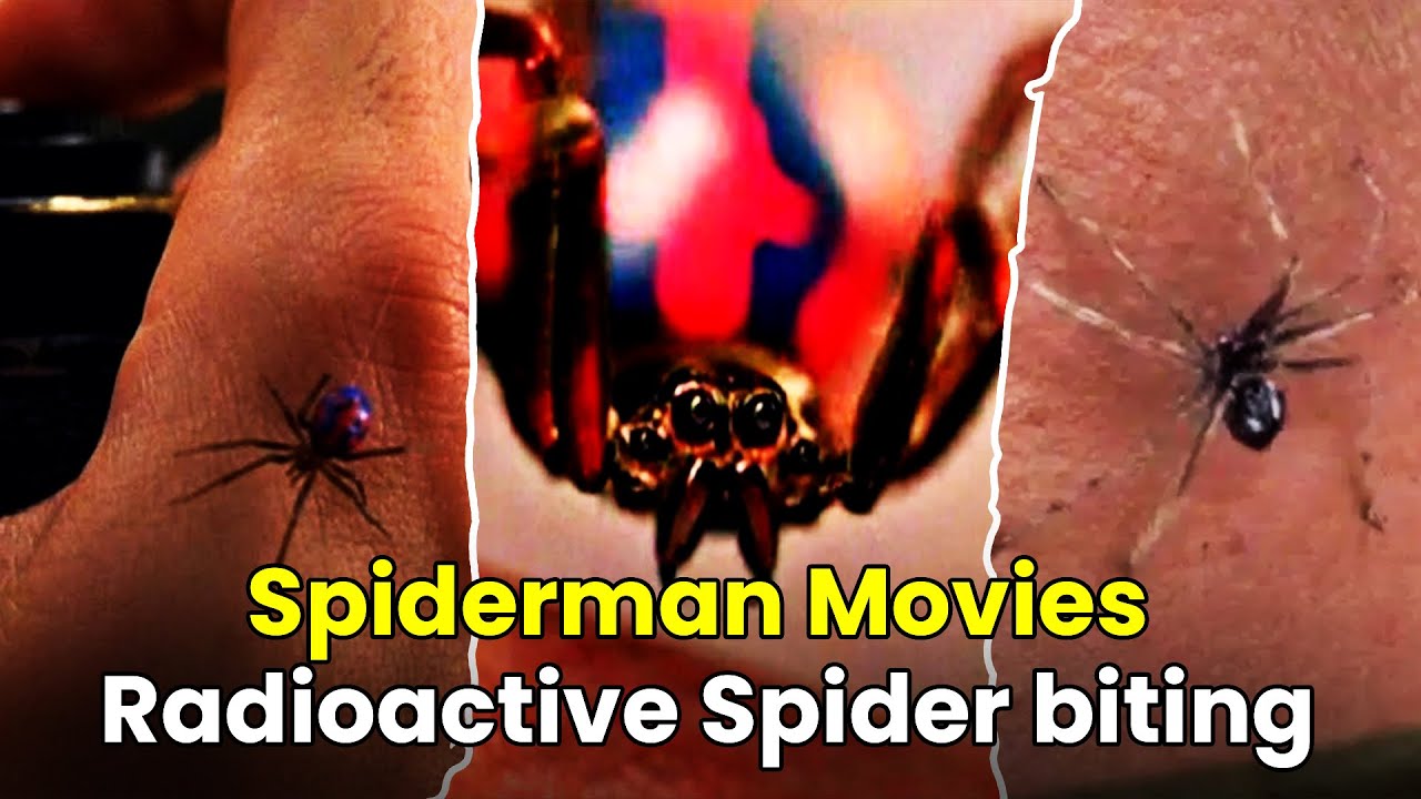 Spiderman Movies : Radioactive Spider biting Peter Parkar Scenes ...