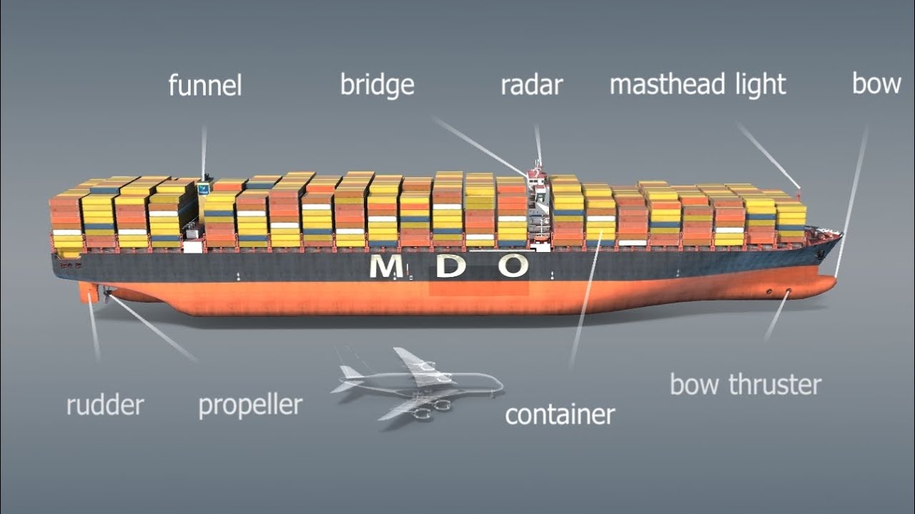 Exploring Container Cargo Ships in Stunning 3D Animation | Sailing ...