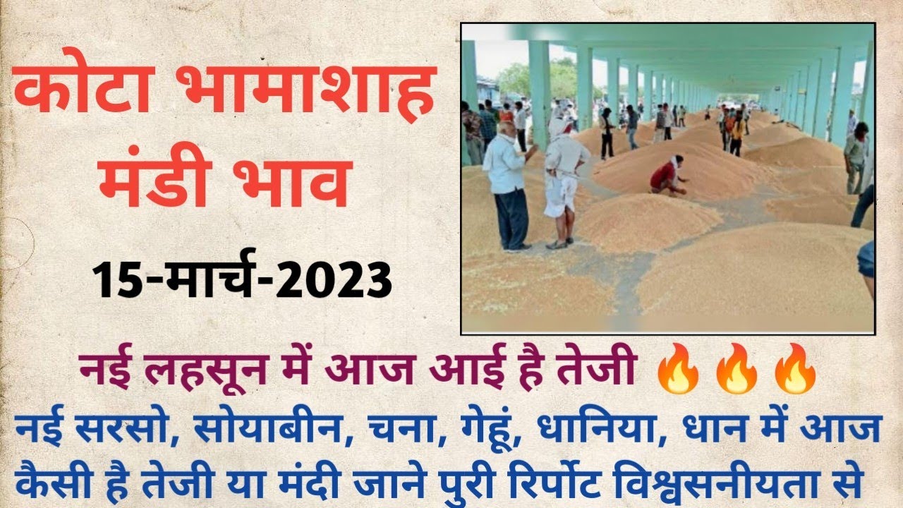 15 2023 Kota Bhamashah Mandi Bhav 15 15-2023-kota-bhamashah-mandi-bhav-15