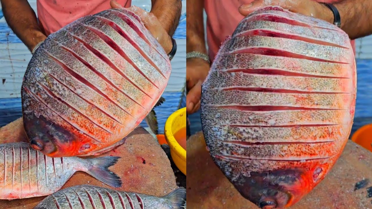amazing cutting skills fish!! sagar fish world hoodi Bangalore, sagar ...