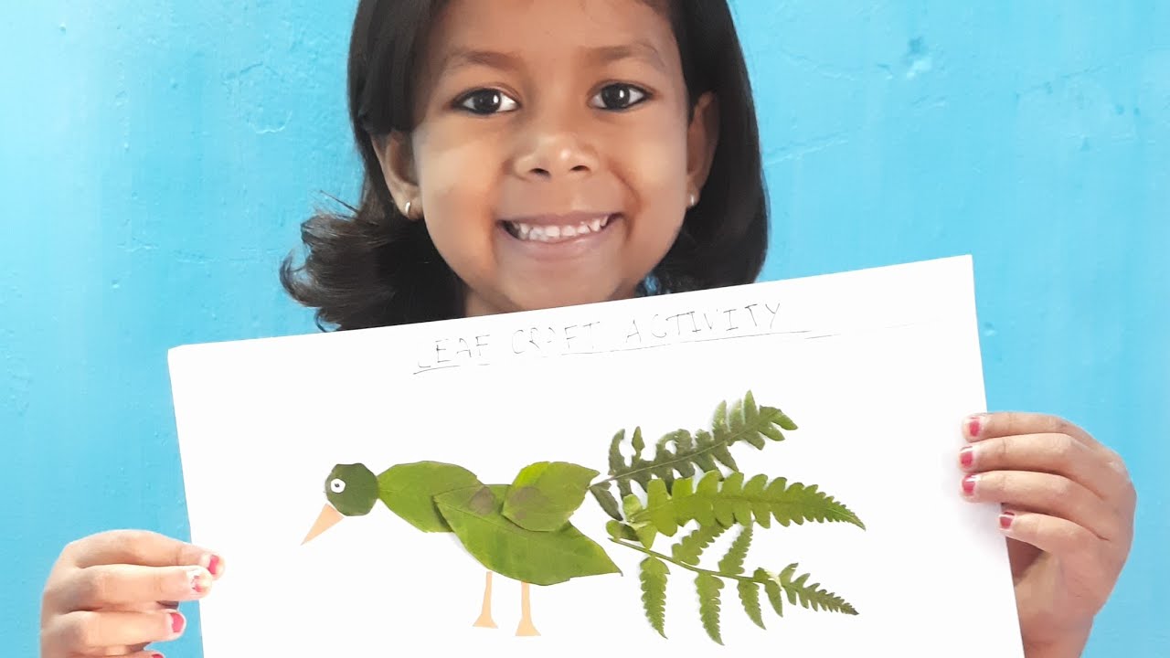 My drawing and craft collections - YouTube