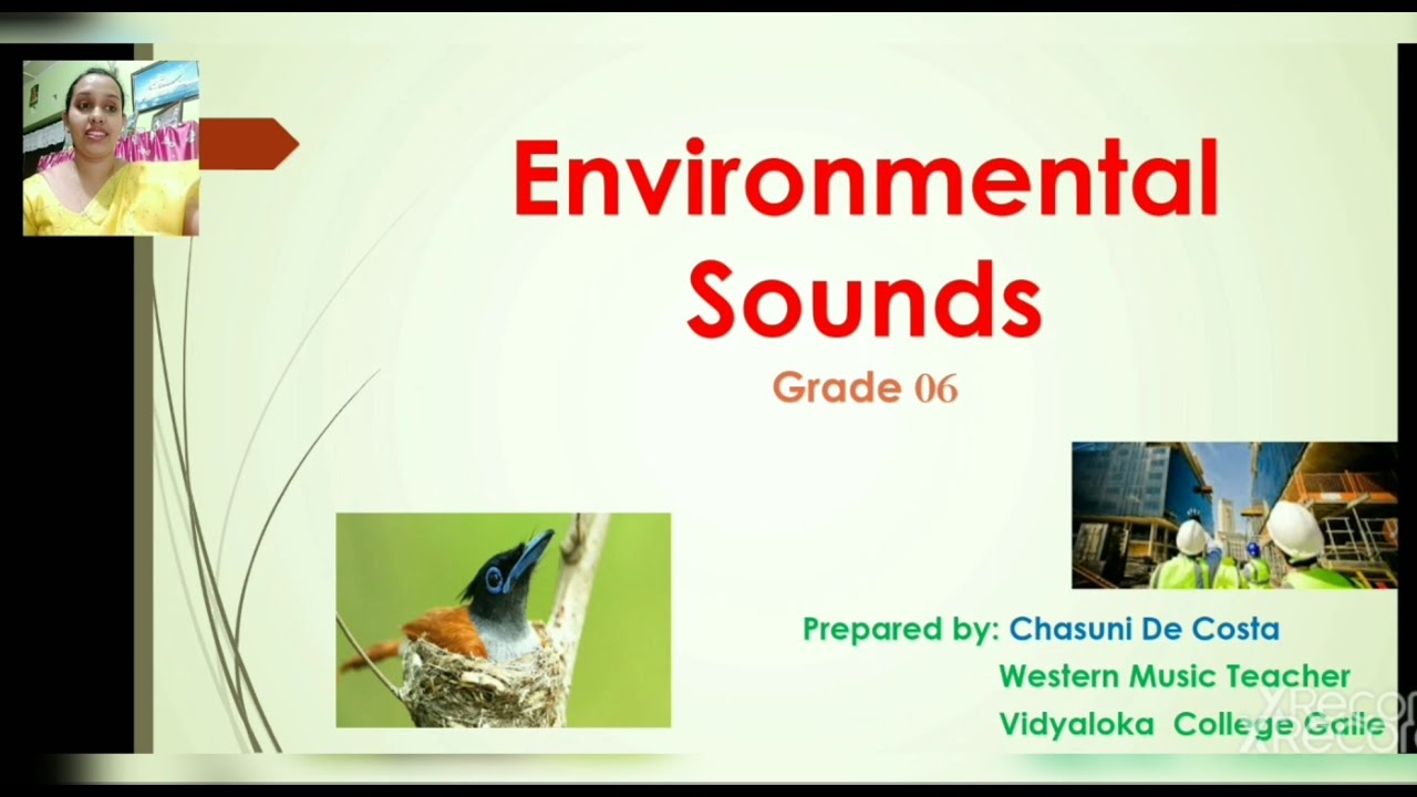 Environmental Sounds & Social Functions (This is the First Term First ...