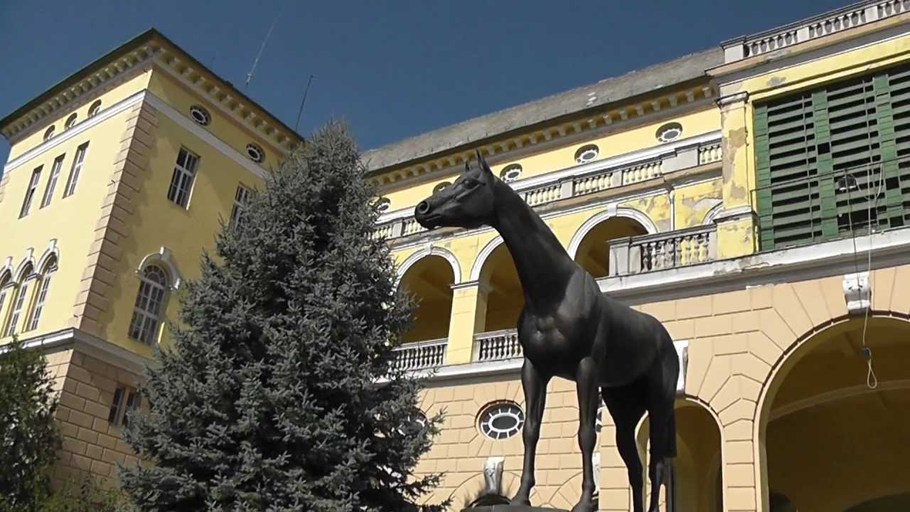 Kincsem Park, Kincsem szobra, 111002-021.MTS - YouTube