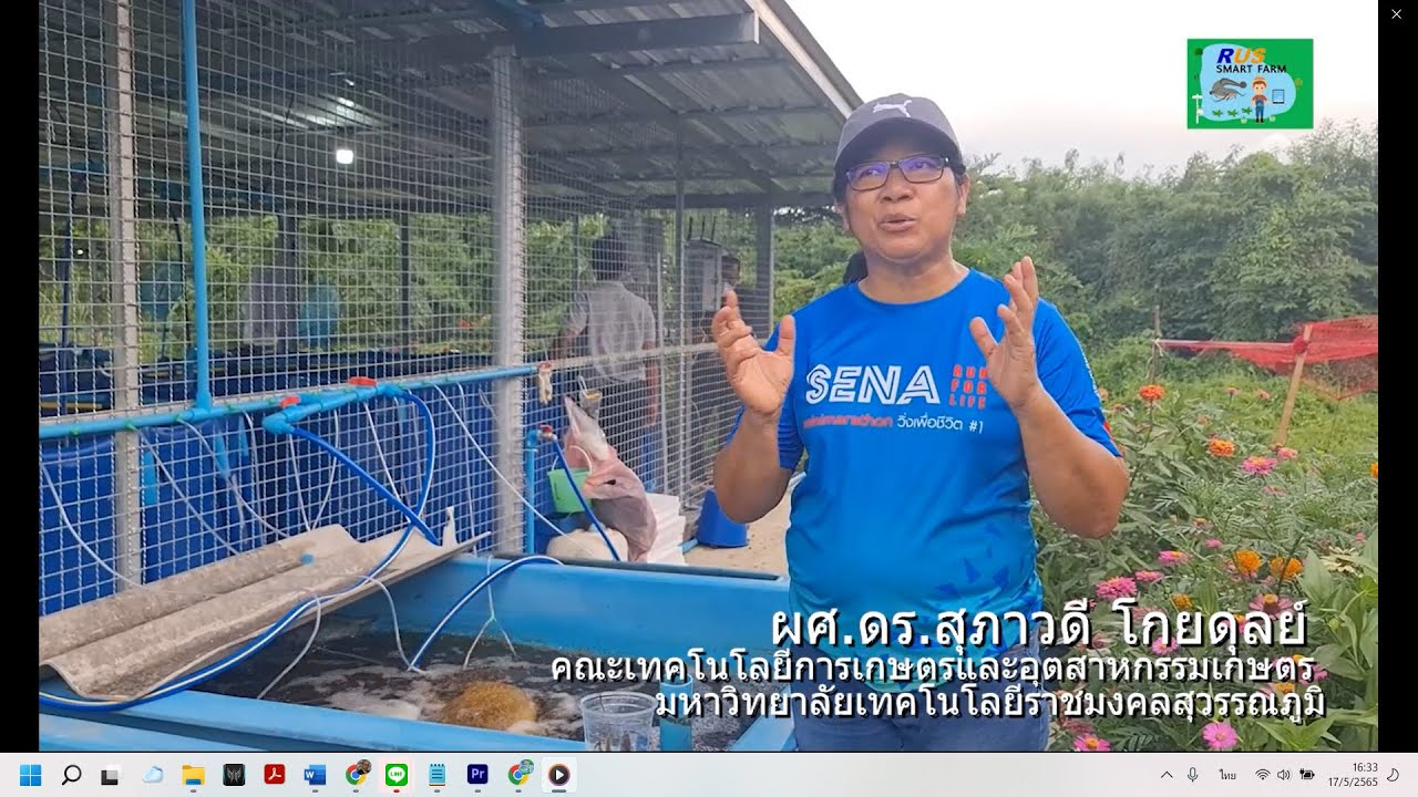 RUS Smartfarm EP.2 - ระบบไบโอฟลอค (biofloc) กับการเลี้ยงปลาดุกบิ๊กอุยในระบบน้ำสะอาด (ตอนที่ 1 ...