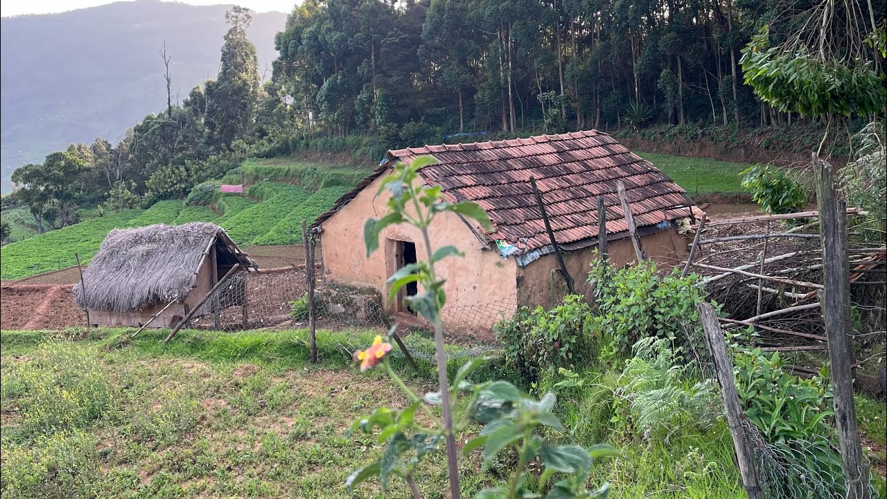 Poondi | A must visit place in Kodaikanal I Switzerland of Tamil Nadu ...