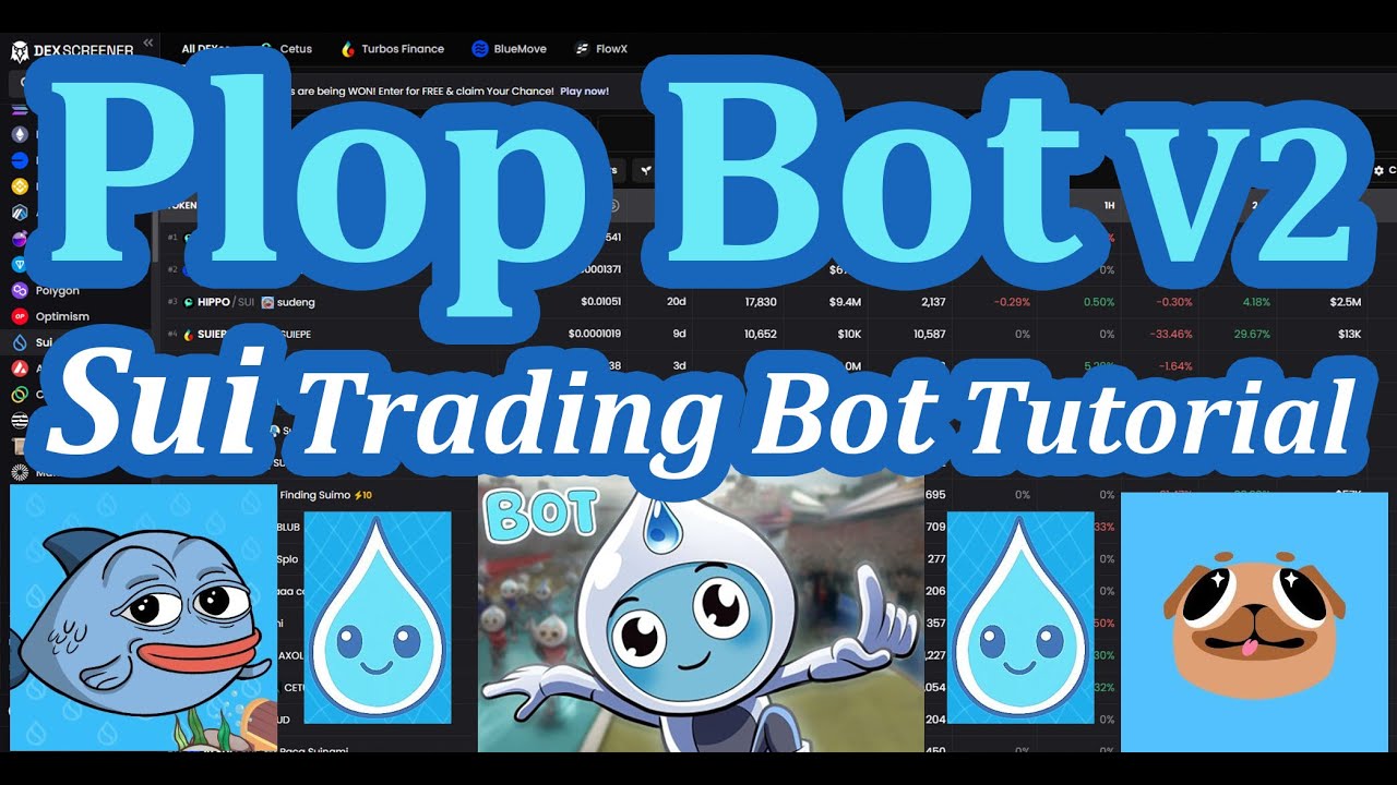 Plop Bot V2 for Sui Meme Coin Trading Tutorial (How to Setup for ...