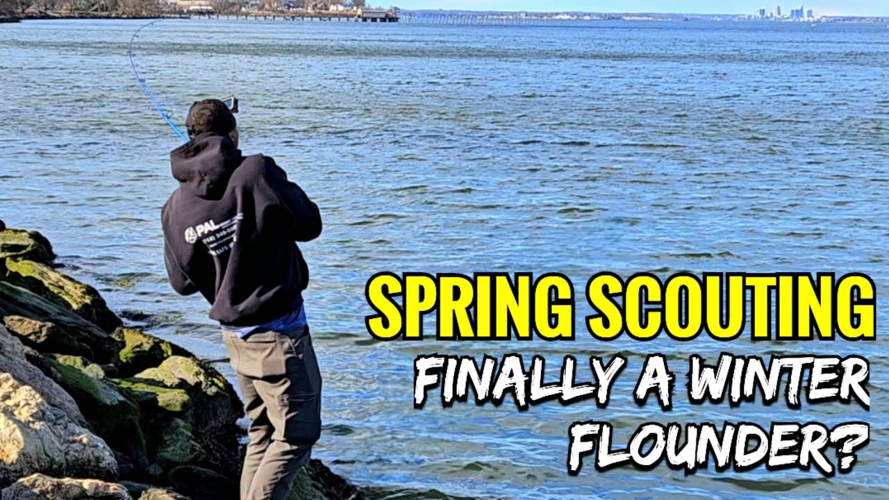 Rare Winter Flounder Caught from Shore in NY @TheReidsOutdoors - YouTube