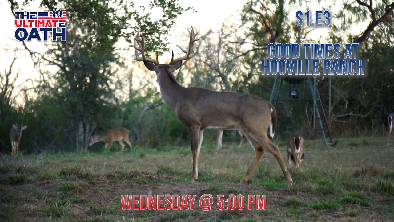 S1 E3 - Good Times At Hooville Ranch - YouTube