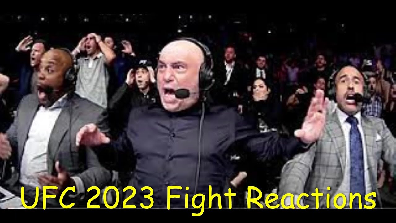 UFC 2023 Fight Reaction Highlights - YouTube