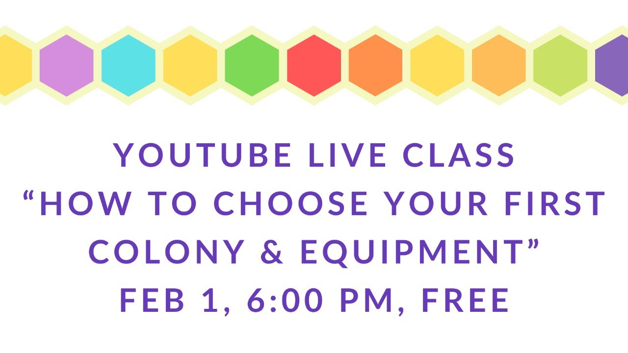 How To Choose Your First Colony & Equipment, Part 1 of Spring ...