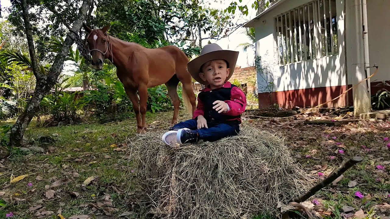 Oreja rajada- Daniel Santiago - YouTube