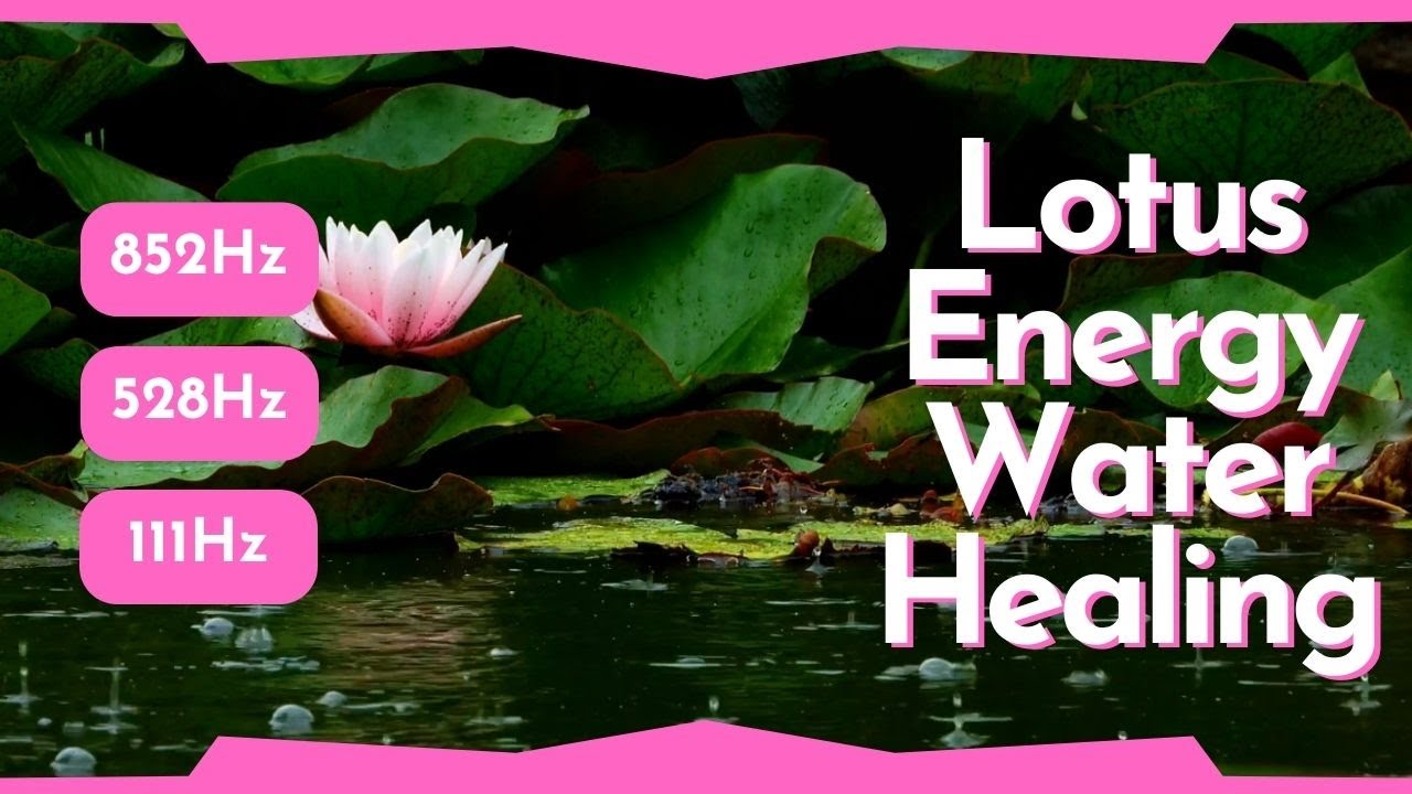 852Hz Healing Frequency for Deep Relaxation with Lotus Flowers on a ...
