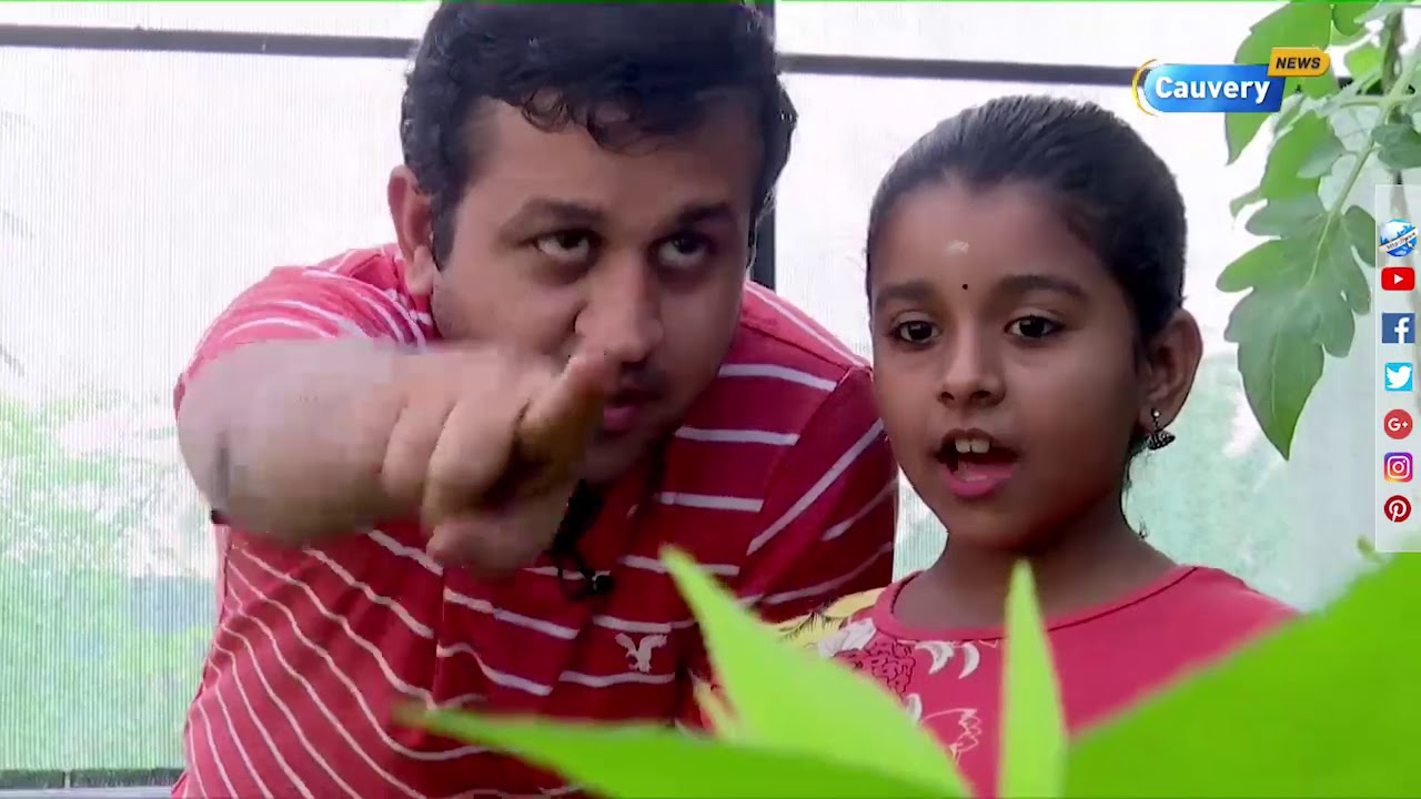 Manvasanai Promo: வீட்டிலேயே காய்கறி தோட்டம் அமைப்பது எப்படி? - YouTube