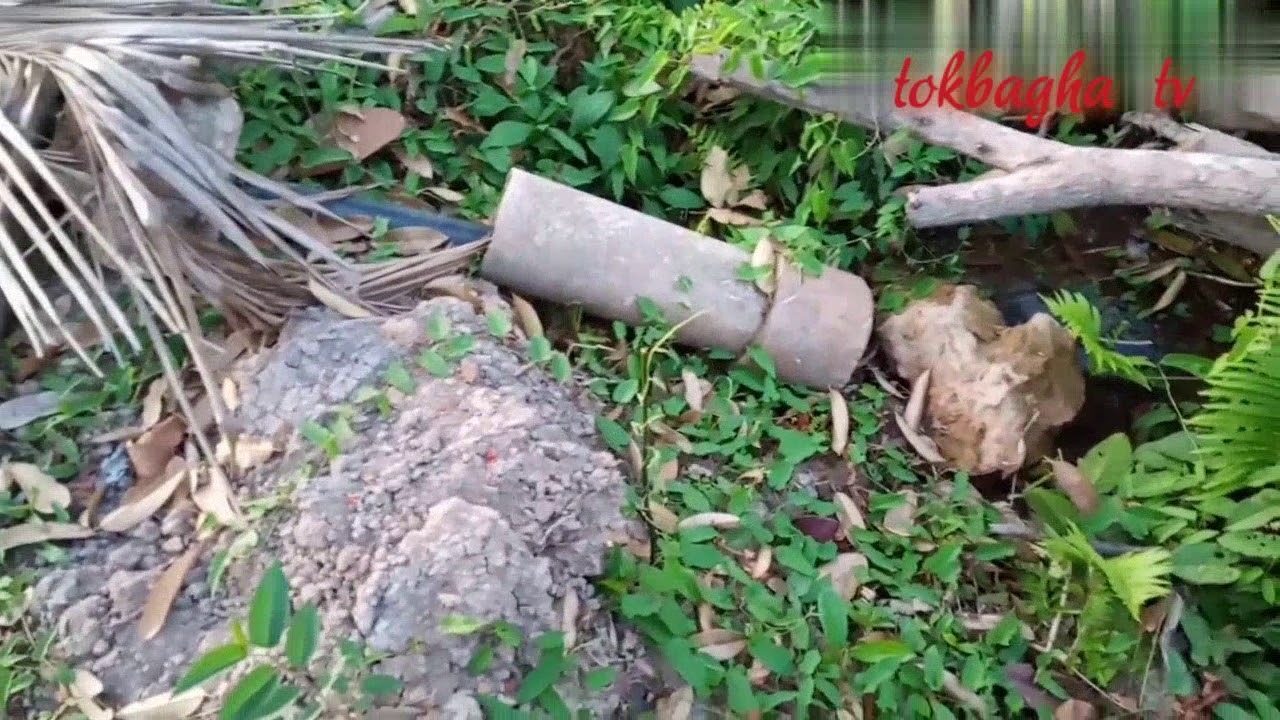 Tunggu hari menuai...petang-petang ronda kawasan - YouTube