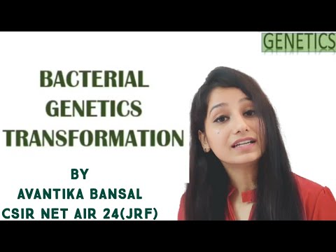 Bacterial Transformation & Gene Mapping using Transformation- Genetics ...