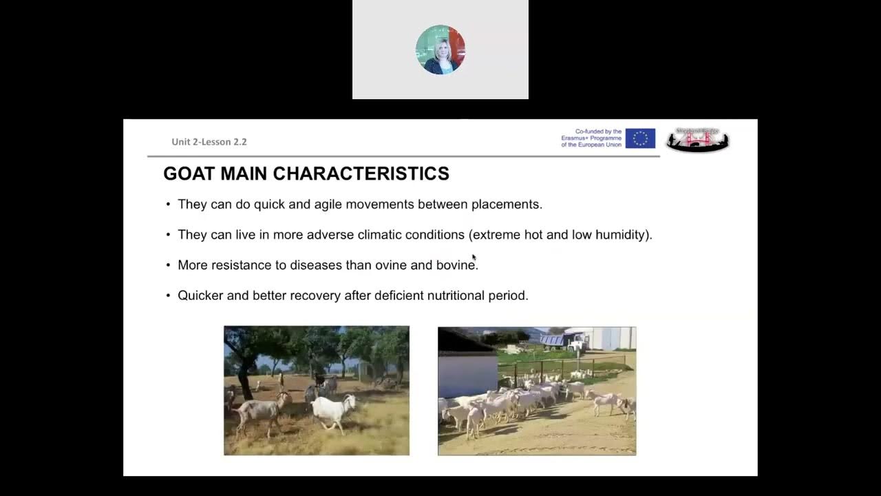 Unit 4.Sheep and Goat Production Systems - YouTube