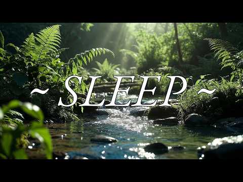 Shallow Stream Flow  Calm Mind Music  No Ads 3h