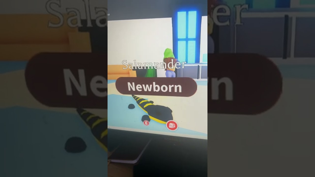 Neues Woodland Egg - Pet - Salamander - ADOPT ME - Roblox - YouTube