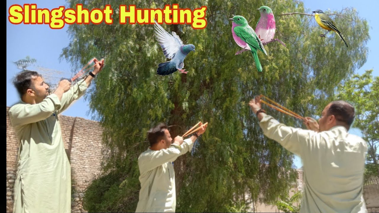 Slingshot Hunting in village | Hunting with slingshot | Slingshot ...