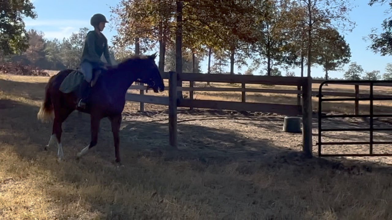 Amy's Light - October '22 at Mason Springs - YouTube